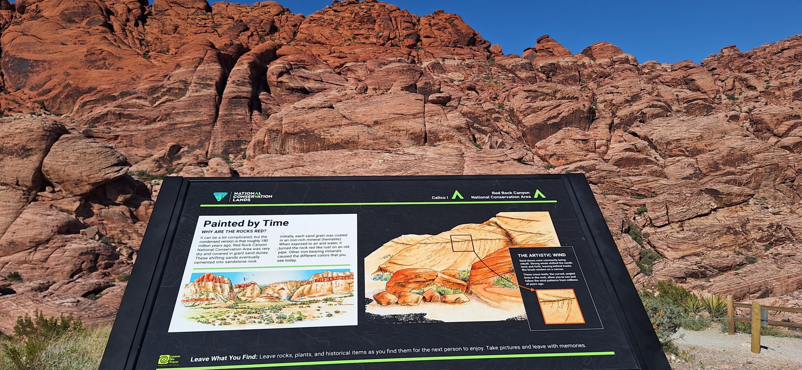 Exploring the Majestic Trails of Red Rock Canyon: A Seasonal Guide